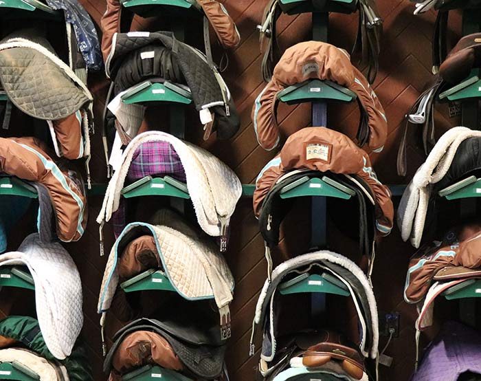 Bandalero Ranch the State-of-the-Art Reproduction, Rehabilitation and ...